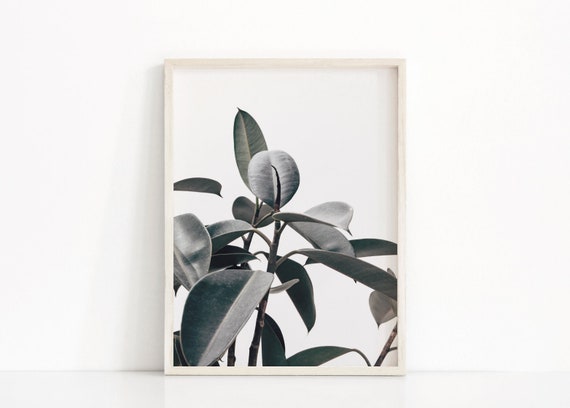 Printable Botanical Photo Botanical Print Large Plant | Etsy