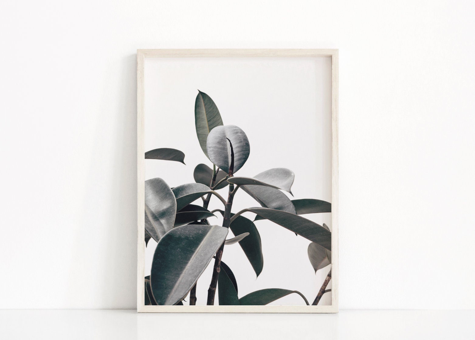 Printable Botanical Photo, Botanical Print, Large Plant Poster, Green ...