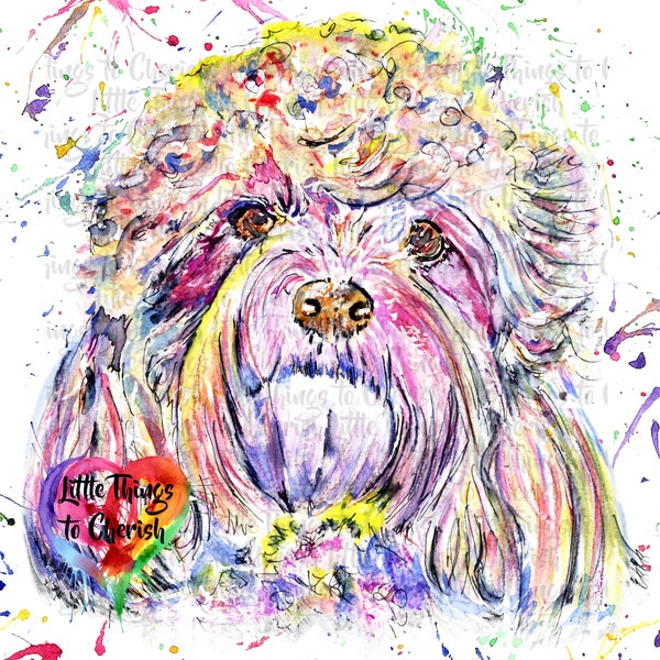 Cavapoo Png Clipart - Etsy