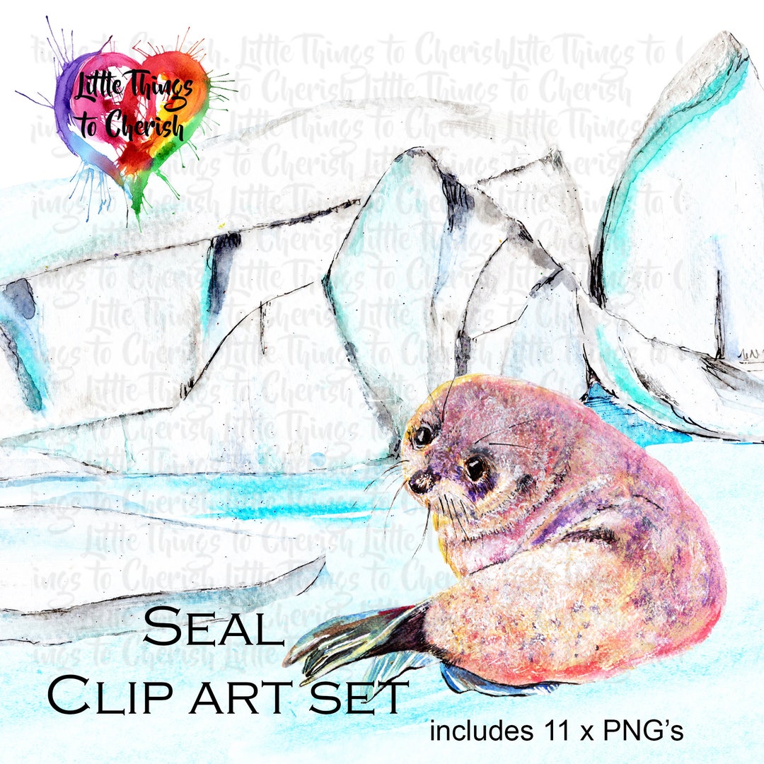 Seal Arctic Collection Clipart Set Hand Painted Watercolour - Etsy