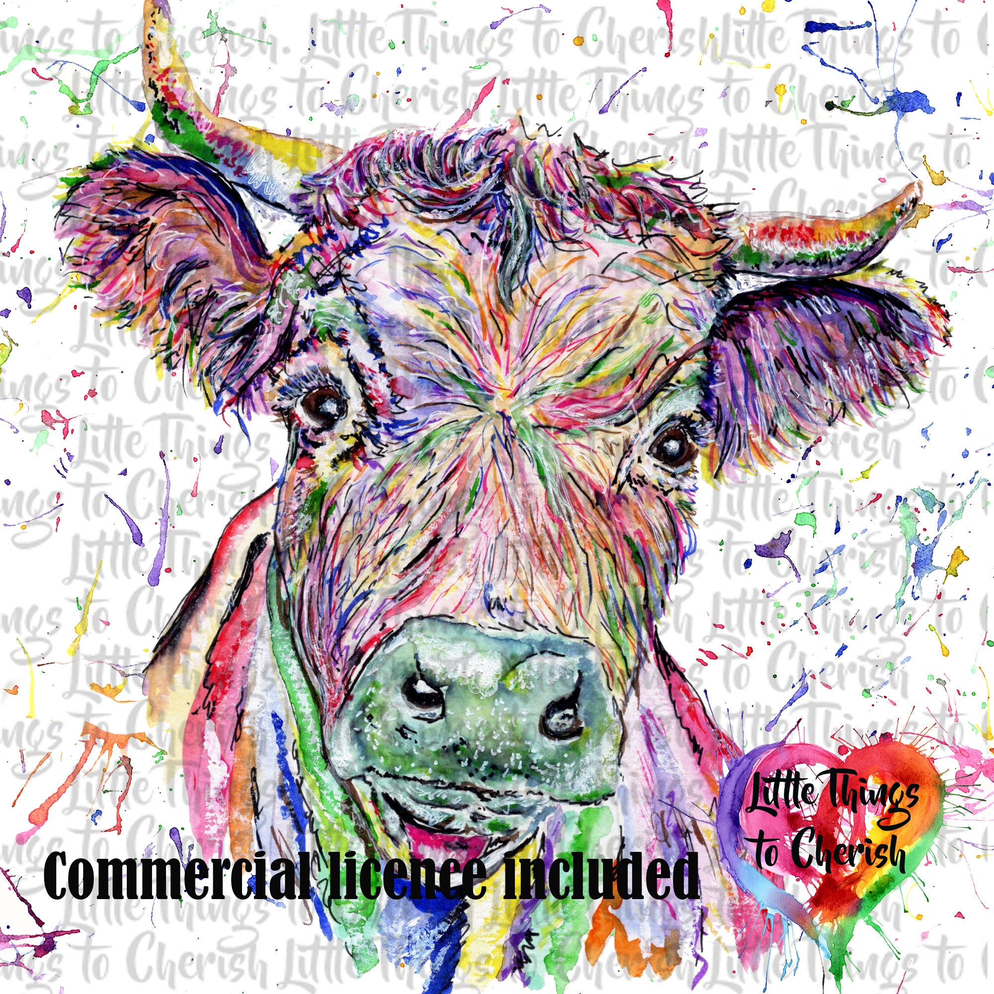 Dexter Cows for sale | Only 4 left at -75%