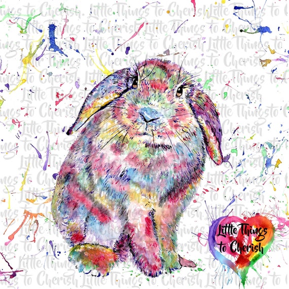 Lop Eared Rabbit Clipart Outline