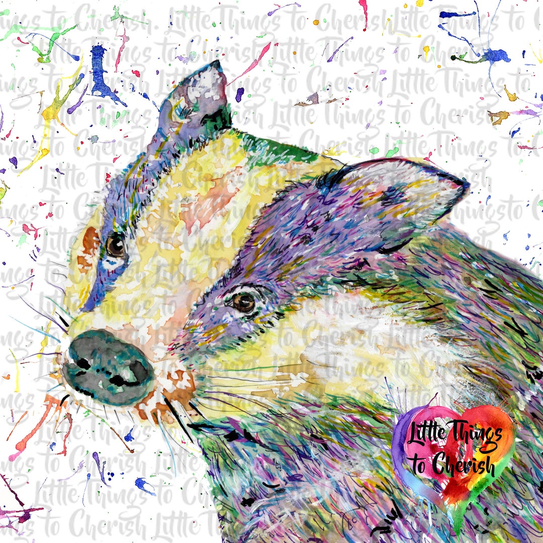 Badger Clipart Badger Graphics Rainbow Badgerpng Clip Art Png ...