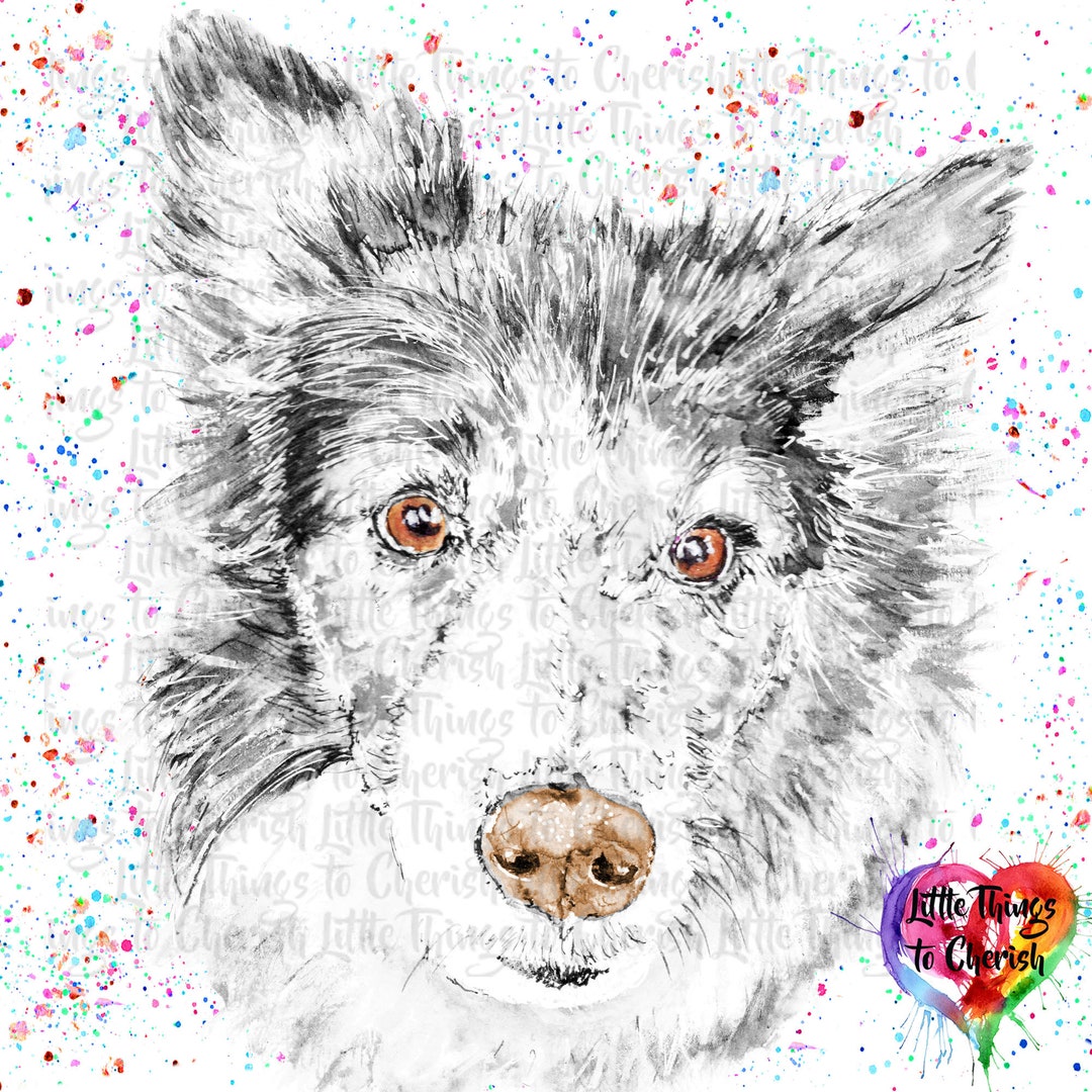 Border Collie Clipart Collie Dog Graphics Rainbow Dog - Etsy