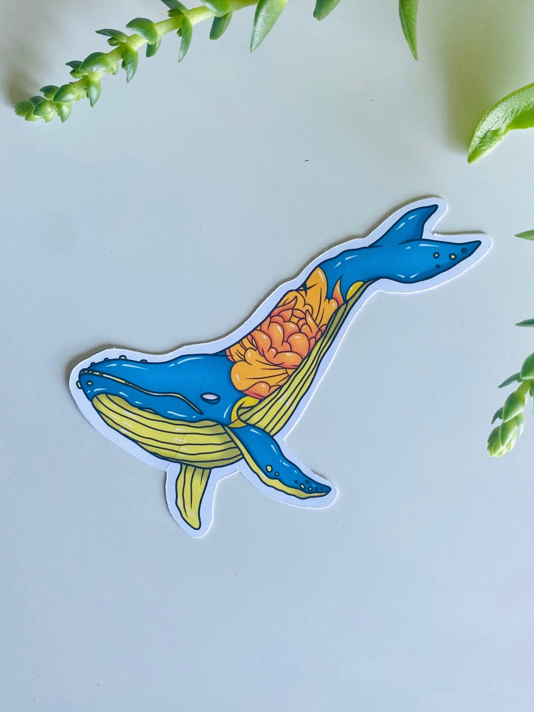 Humpback Whale Vinyl Sticker Art Sea Life Sticker Whale Sticker ...