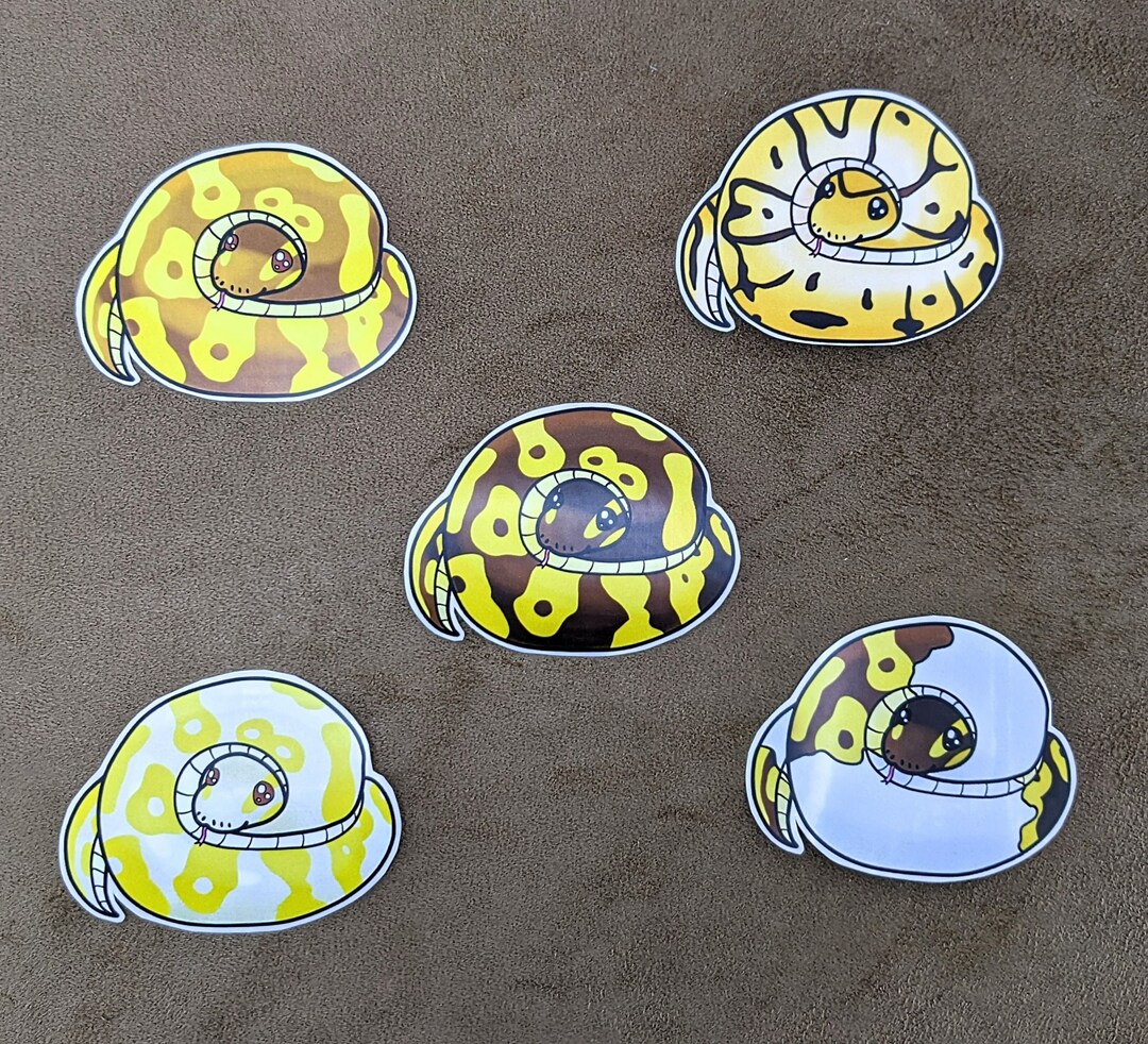 2.5 Inch Ball Python Snake Vinyl Sticker - Etsy