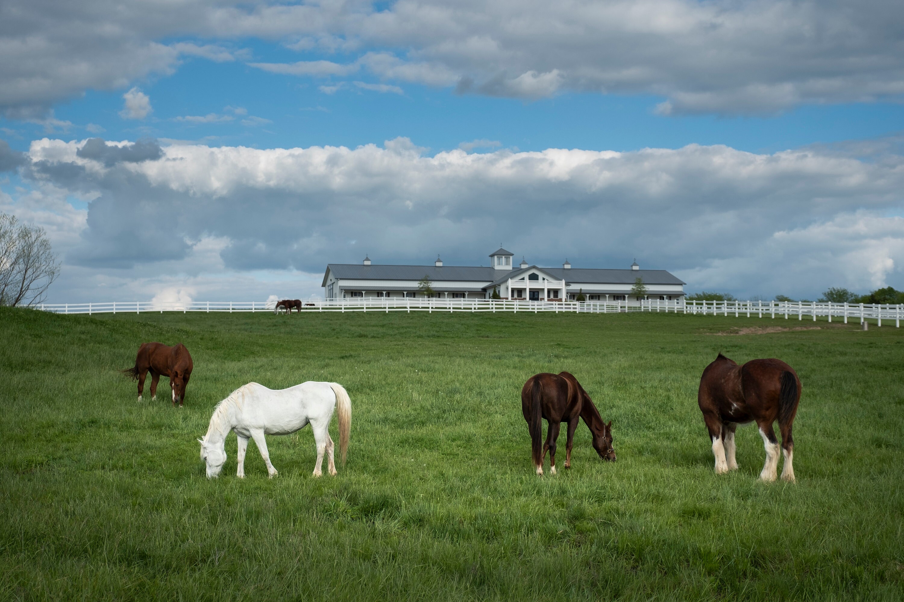 Rustic Country Horse Farm Ranch Midwest America Heartland Fine Art ...
