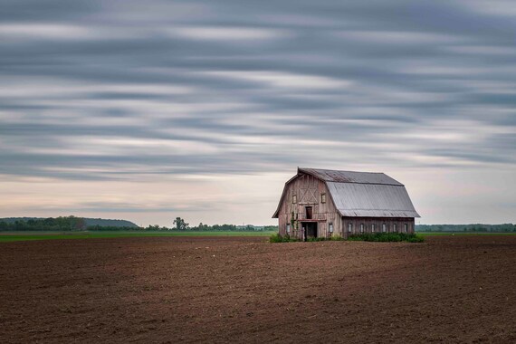Old Country Barn Corn Field American Farm Horse Ranch Cattle | Etsy