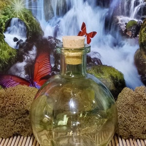 Small Clear Green Glass Bulb Bottom Bud Vase / Rooting Jar With Cork H ...