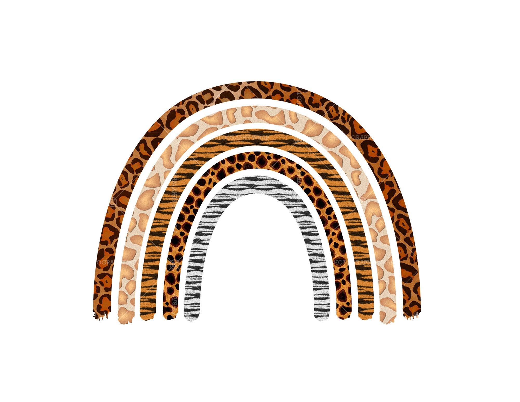 Safari Rainbow PNG, Jungle Animal Prints Rainbow, Cheetah, Leopard ...