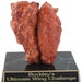 Chicken Wing Trophy - Chicken Wing Lover Gift, Chicken Wing Eating ...