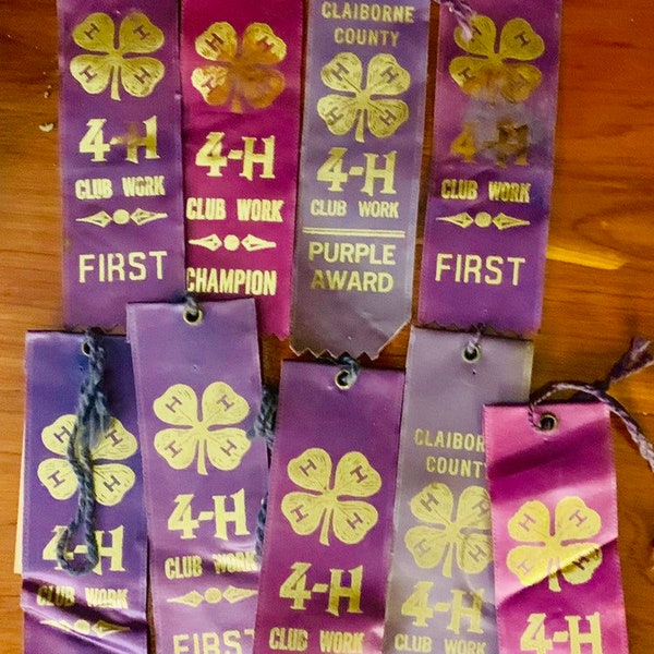 County Fair Party - Etsy