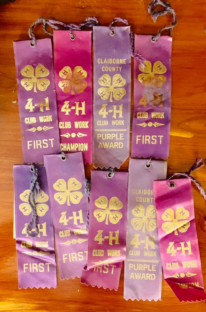 Vintage Blue Purple Ribbon 1st Place Ribbons Premium Vintage - Etsy