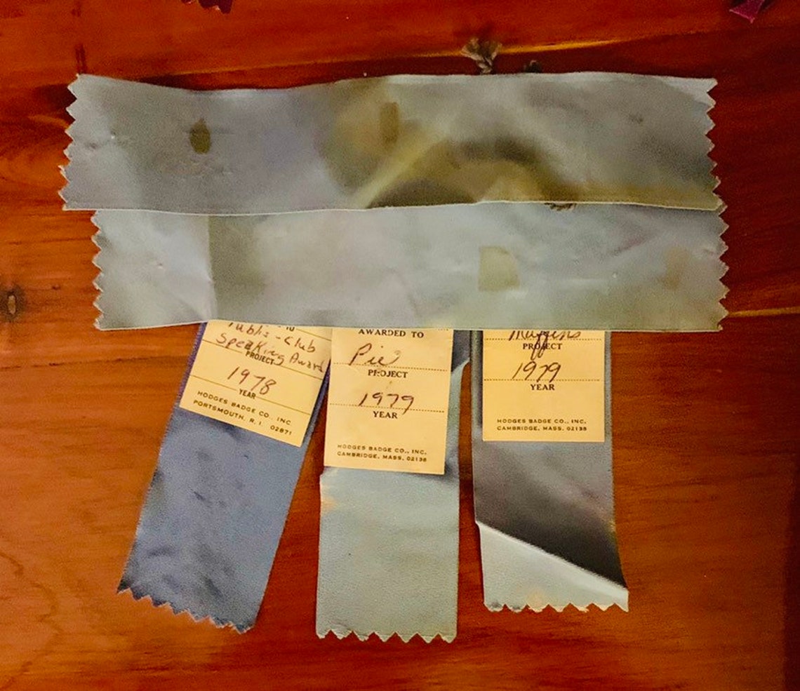 Vintage Blue Purple Ribbon 1st Place Ribbons Premium Vintage - Etsy