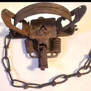 Vintage Animal Traps. Rustic Wall Farmhouse, Cabin, Hunting Decor ...