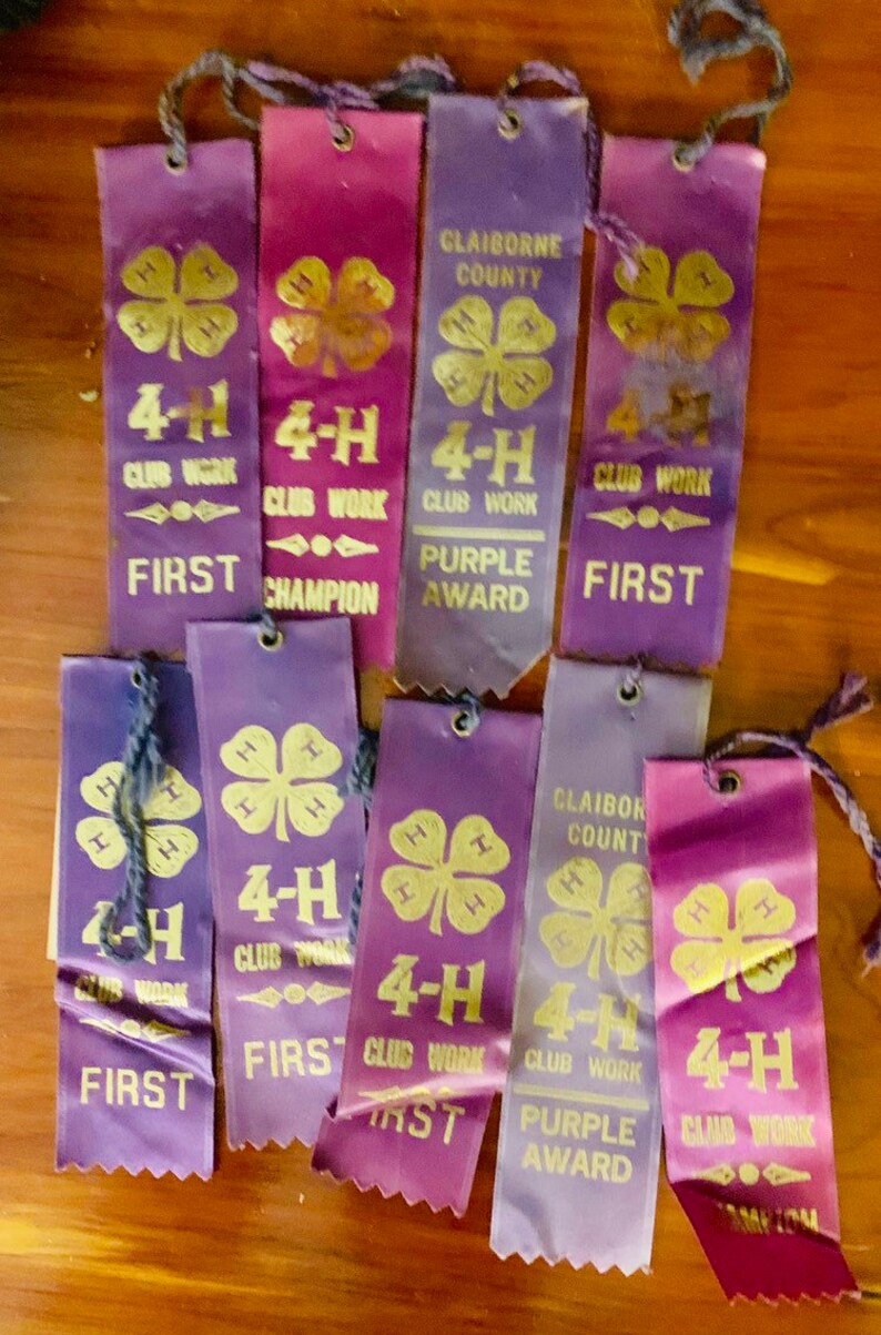 Vintage Blue Purple Ribbon 1st Place Ribbons Premium Vintage - Etsy