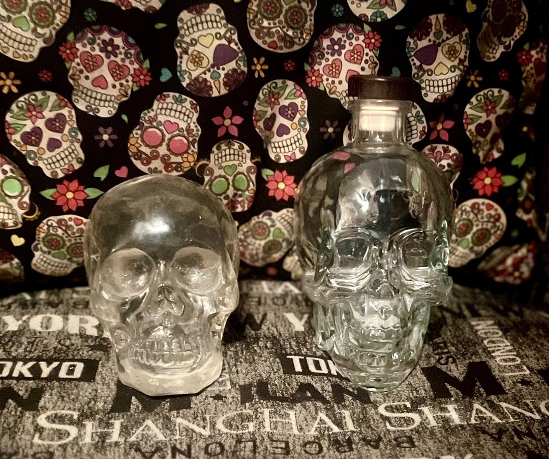 Clear Skulls From a Large Skull Collection Translucent 1999 Heavy Skull ...