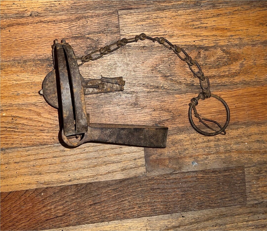Vintage Game Traps. Working Traps for Use in Hunting and Trapping or as ...