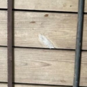 Vintage Saws. Antique, Decorative and Functional Hand Saws in a Variety ...