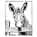 12 Cute Donkeys Linocut Woodcut Tracing Designs - A4 A5 Letter Sizes ...