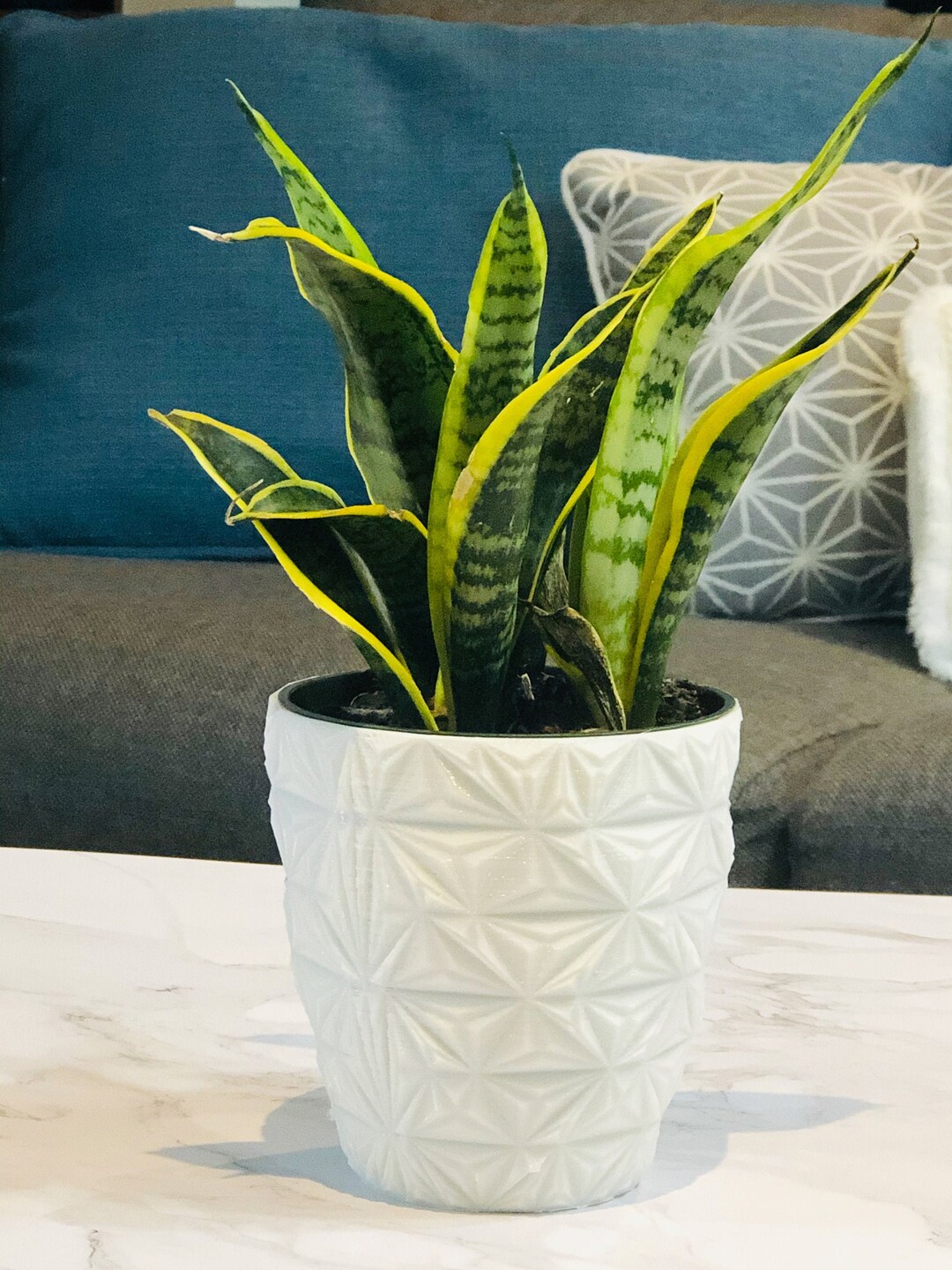 Faceted Geometric Planter | 3D Printed Eco-friendly PLA, Modern Decor ...