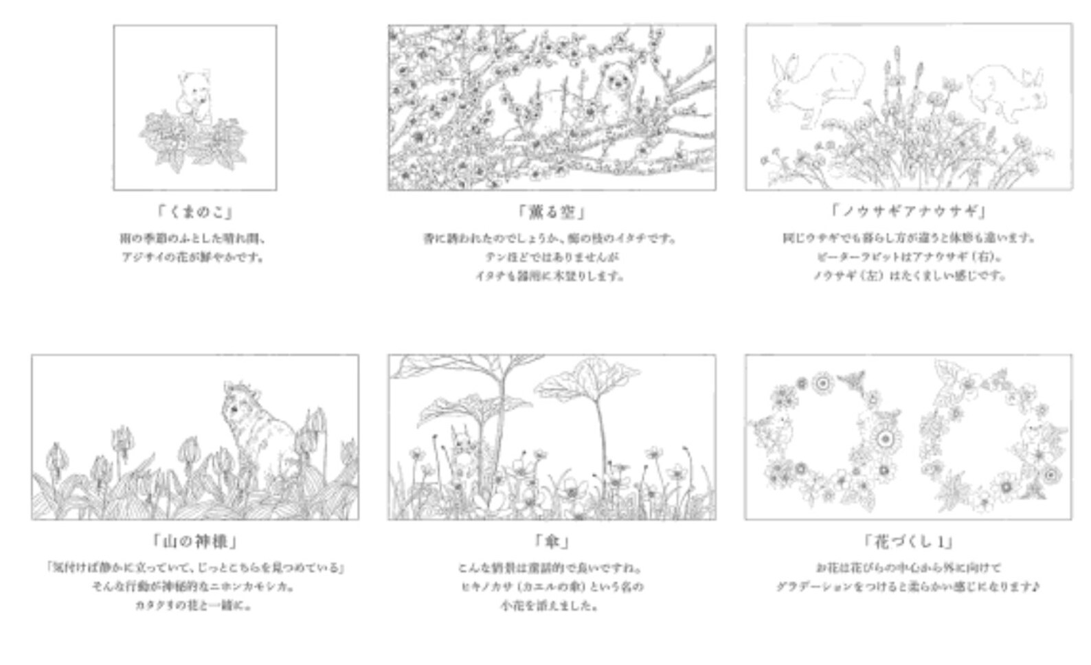 Forest Animals Coloring Book - Etsy