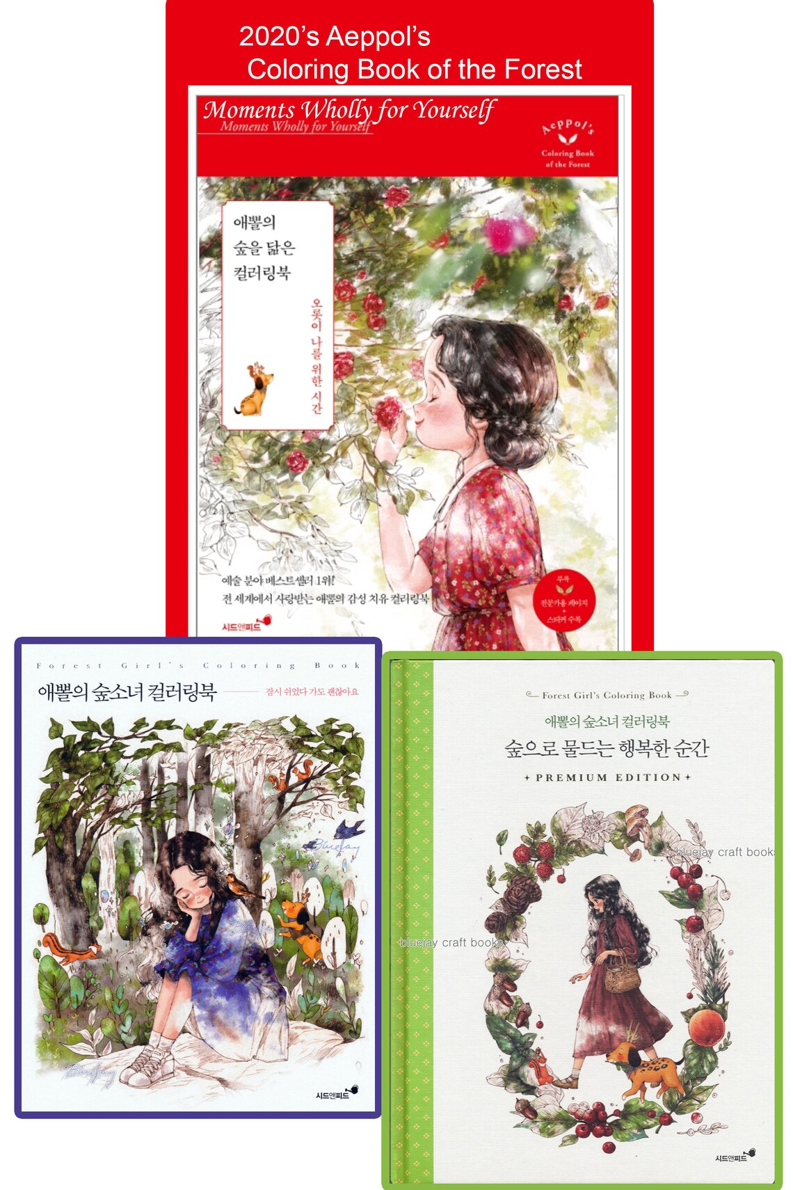 Aeppol's All 3 Coloring Books Forest Girl English/korean | Etsy