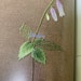 Haran's Botanical Flowers Embroidery - Korean Embroidery Book - Etsy