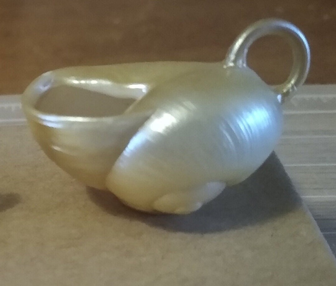 Nautilus Shell Miniature Pitchers set of Two - Etsy