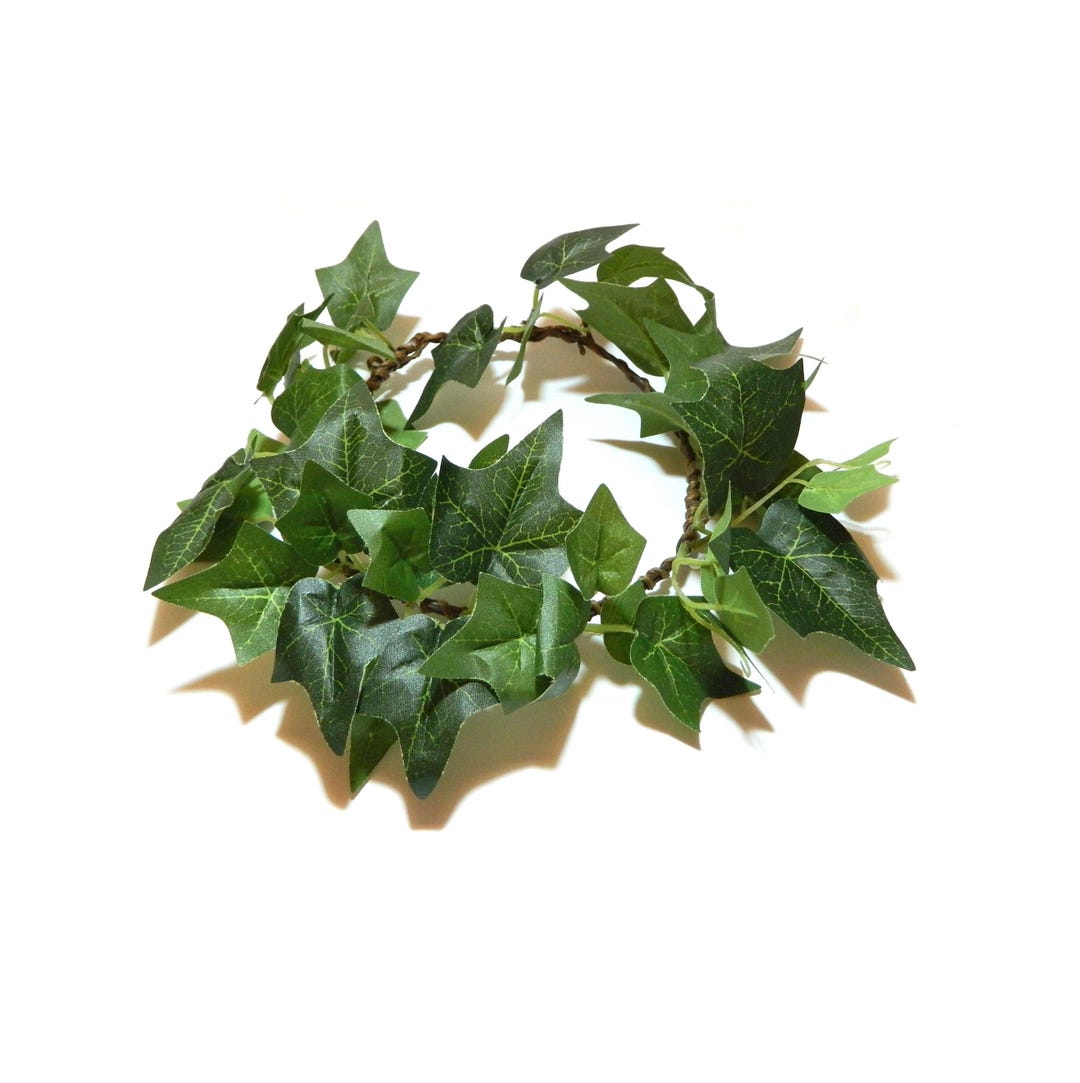 English Ivy Leaf Crown Headband Vine Green Cosplay Fairy Diadem Tiara ...