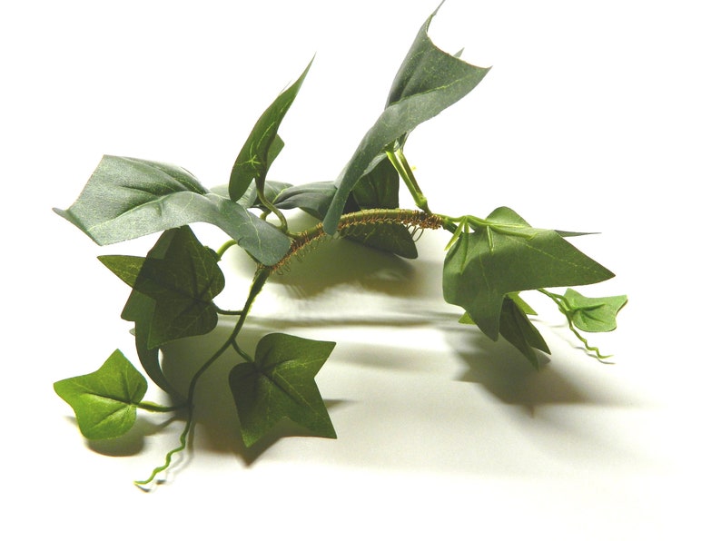 Greenery Wedding Fascinator Ivy Hair Comb Gothic Hedera - Etsy