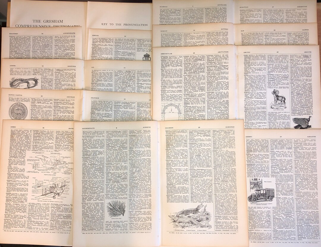 25 Pc Antique 1935 British Illustrated Dictionary Pages Random Pack ...