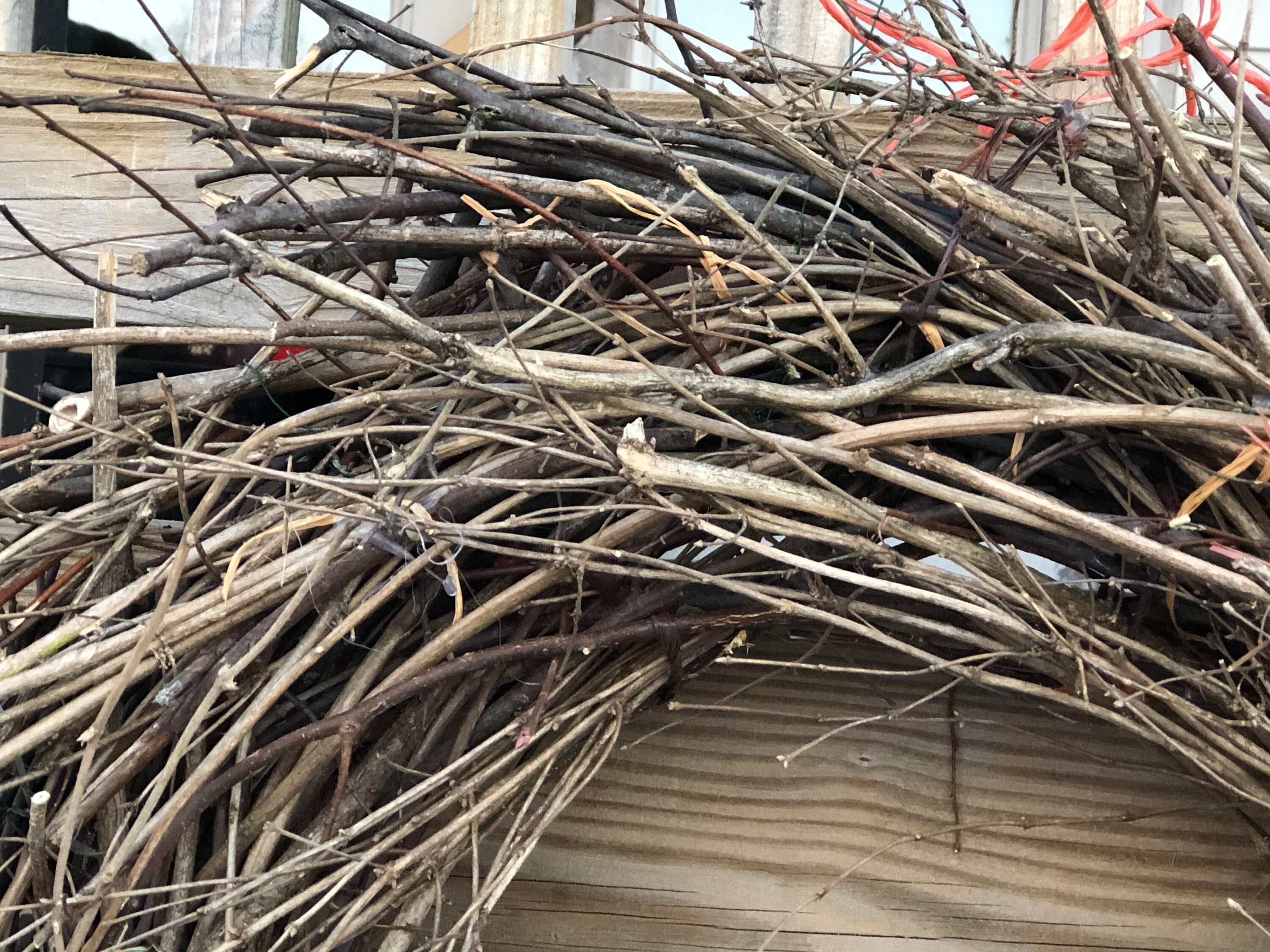 Small Natural Twig Tree Branch Wreath Rustic Farmhouse Decor - Etsy