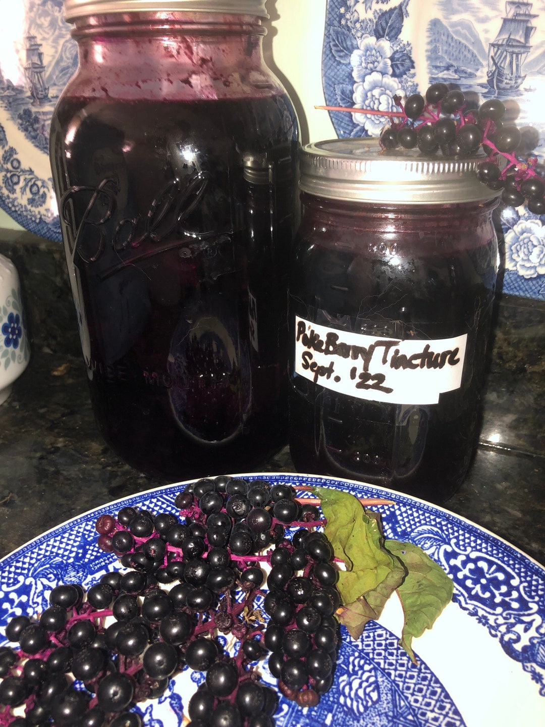 Wild Poke Berry Juice Fermented Herbal Tincture 1 Oz/2 - Etsy