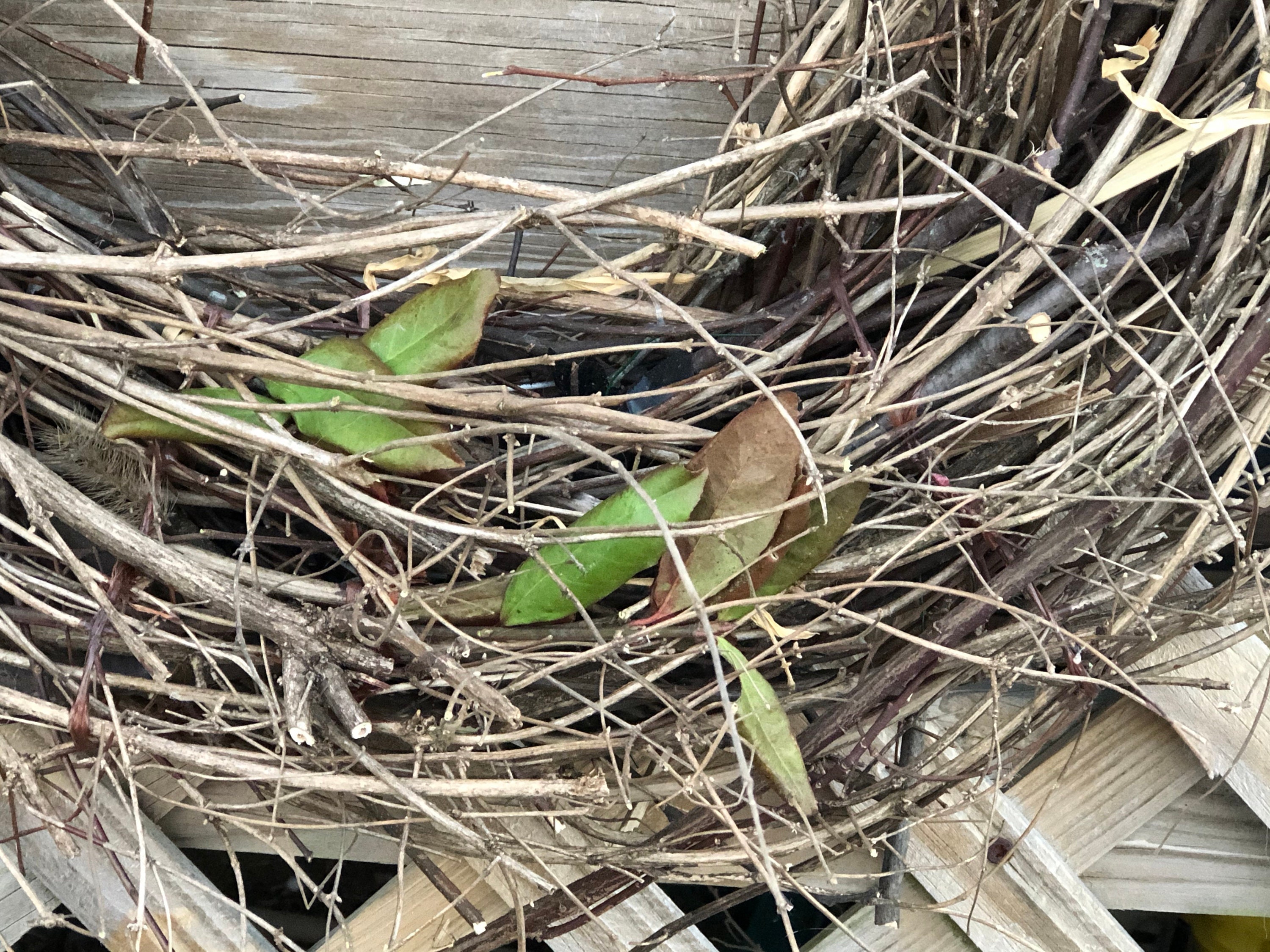 Small Natural Twig Tree Branch Wreath Rustic Farmhouse Decor - Etsy
