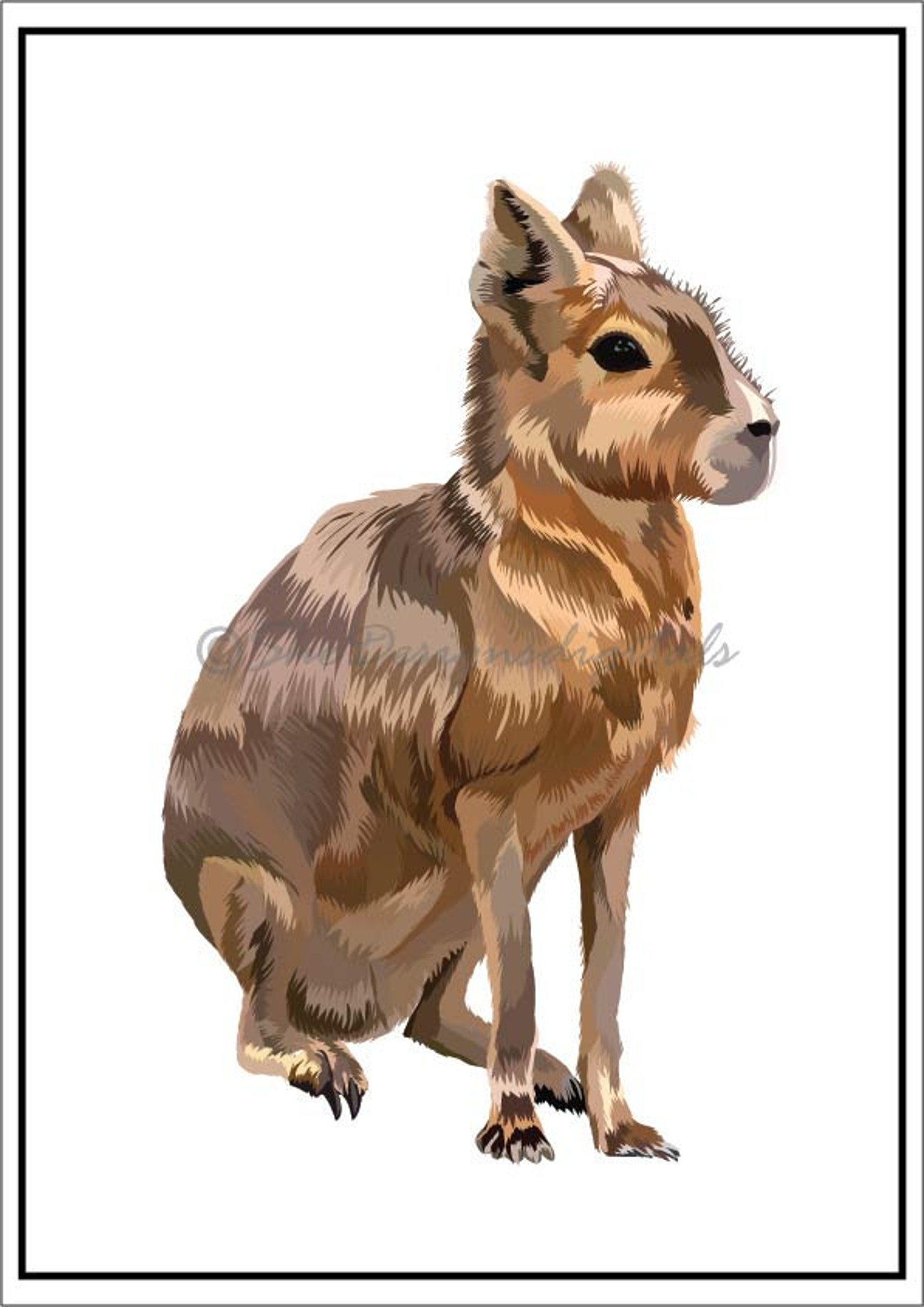 Mara Animal Print Wall Art Descarga imprimible / Lindo cartel - Etsy España