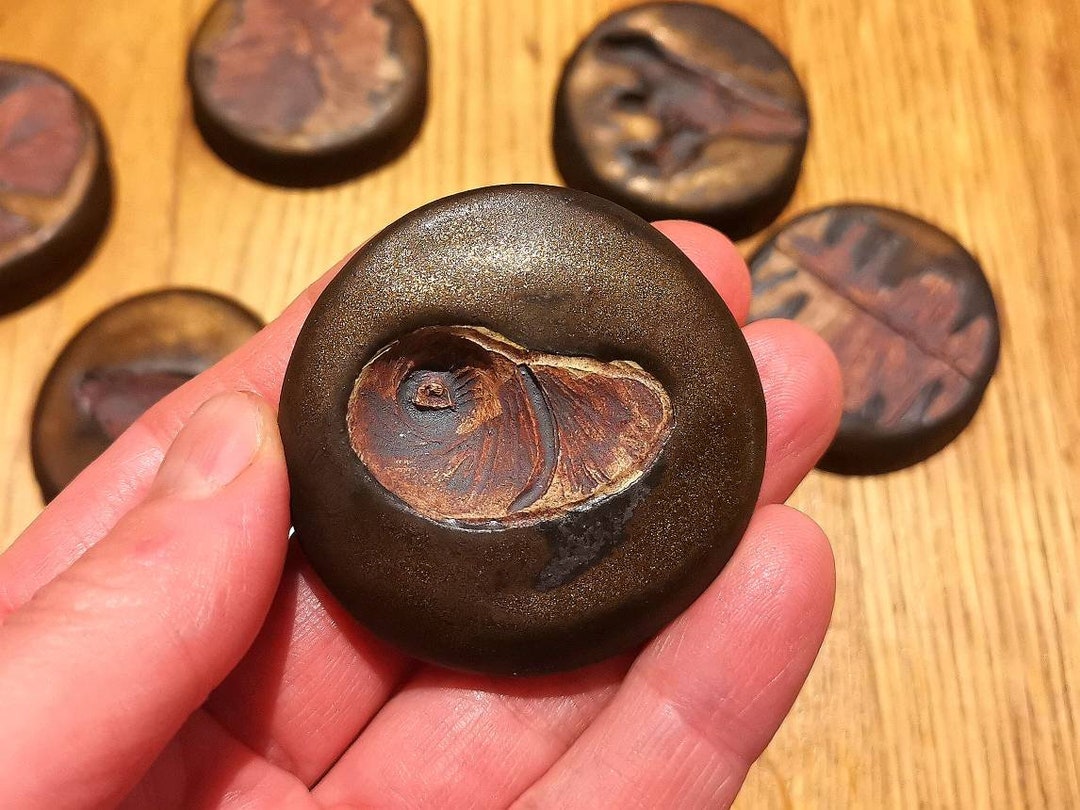 Dinosaur Fossil Fridge Magnets/golden Treasure Fossils/gift Made by ...