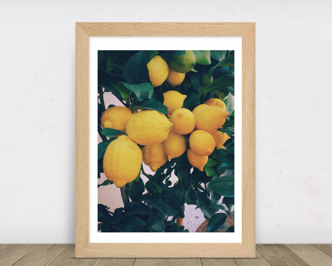 Lemon Photo Print // Lemon Tree Wall Art // Yellow Wall Print // Boho ...