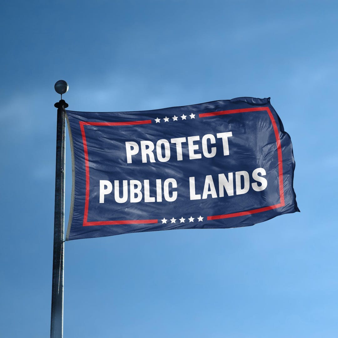 Protect Public Lands Flag – Political Banner, 12x18 in to 3x5 Ft ...