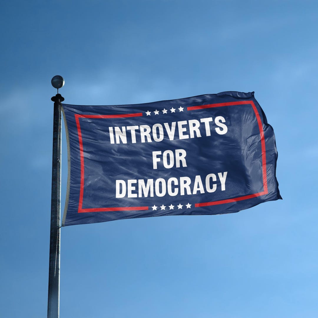 Introverts for Democracy Flag – 12x18 in to 3x5 Ft Polyester Banner - Etsy