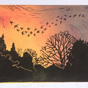 Twilight Starlings, Starling Murmuration Art Print, Sky and Birds ...