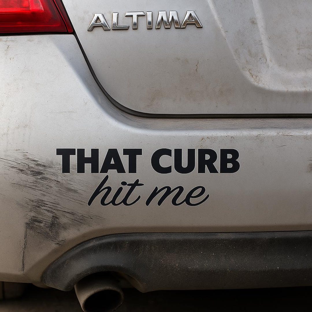 THAT CURB Hit Me | Funny Car Bumper Sticker | 3”H X 8”W Vinyl Decal - Etsy