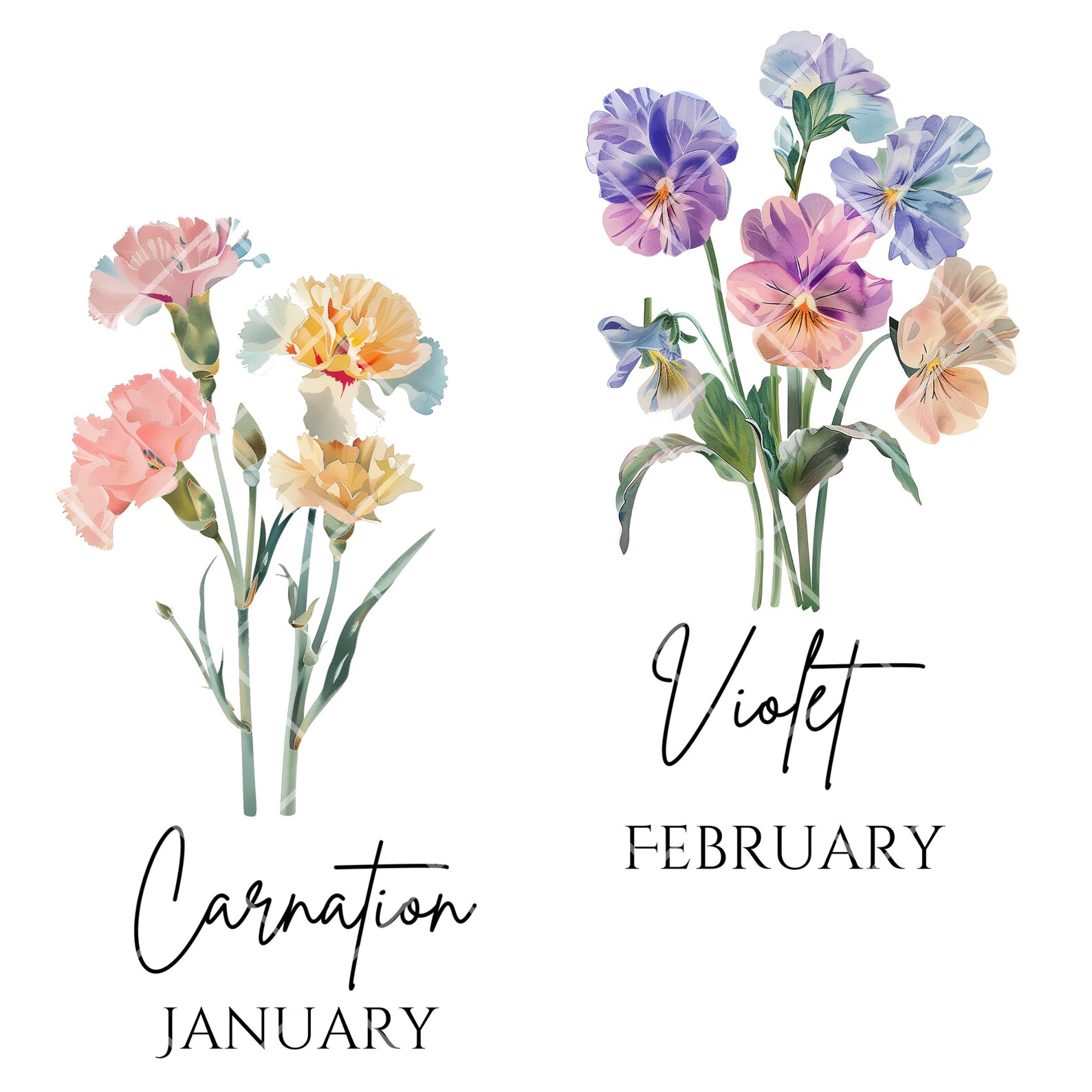 Birth Month Flowers Bundle, Birth Month PNG, Wildflower Png, Birthday ...