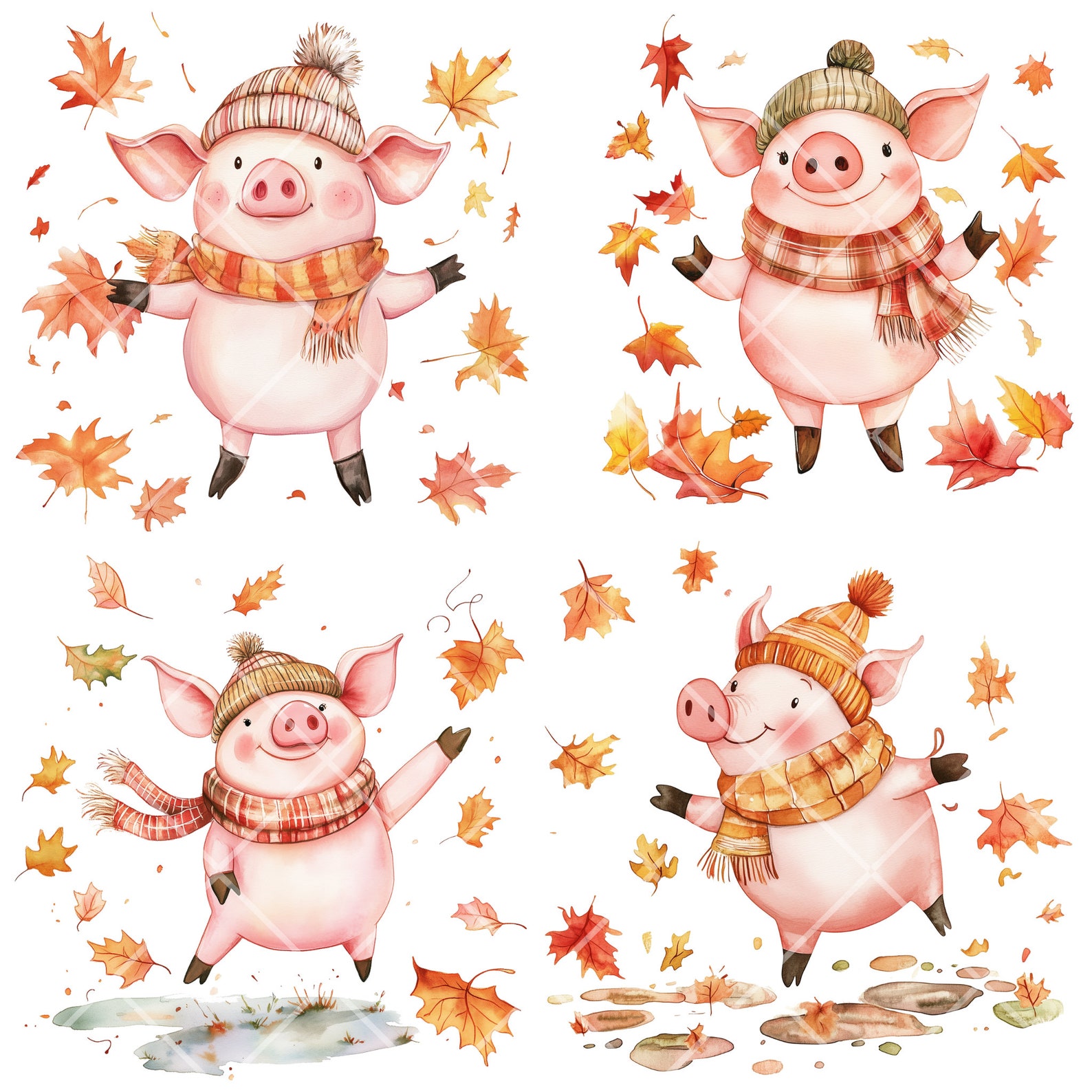 Cute Autumn Pig Pumpkins Clipart, Watercolor PNG, Digital Download ...