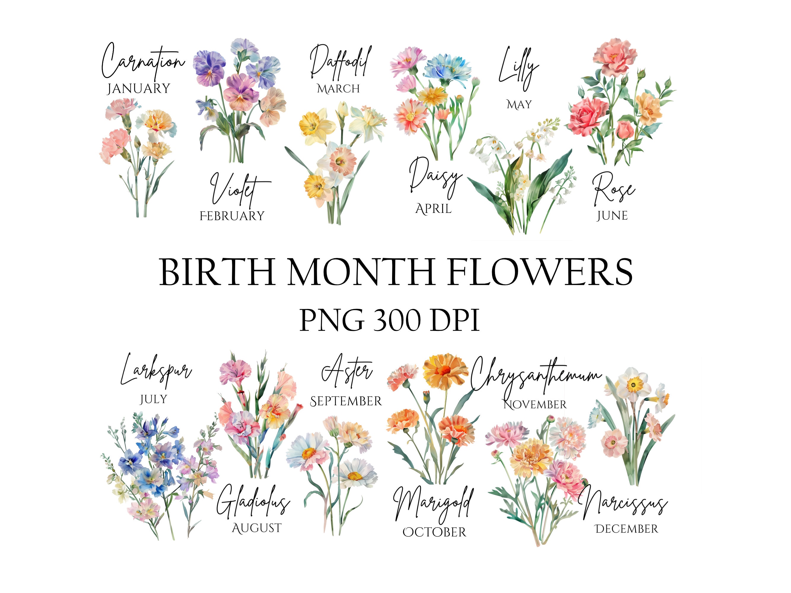 Birth Month Flowers Bundle, Birth Month PNG, Wildflower Png, Birthday ...