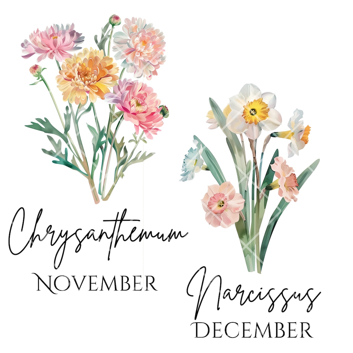 Birth Month Flowers Bundle, Birth Month PNG, Wildflower Png, Birthday ...