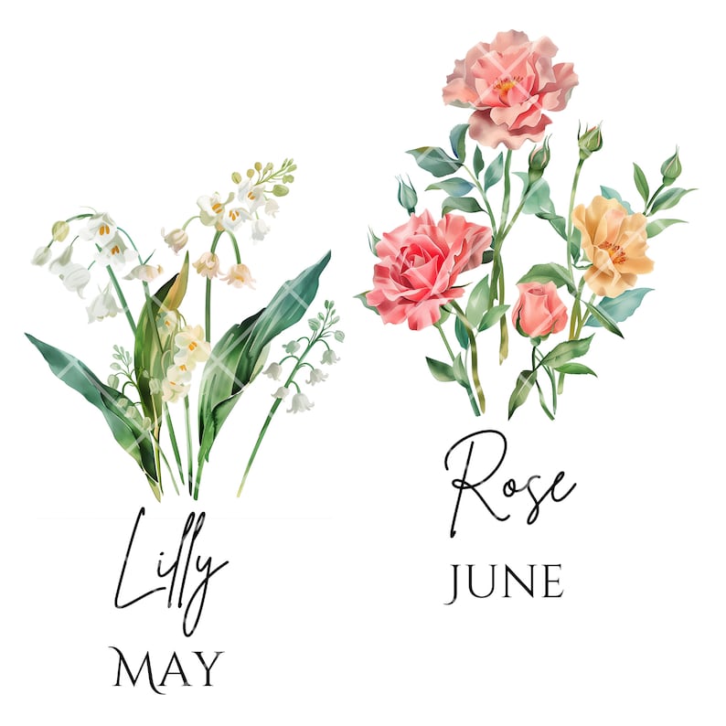 Birth Month Flowers Bundle, Birth Month PNG, Wildflower Png, Birthday ...
