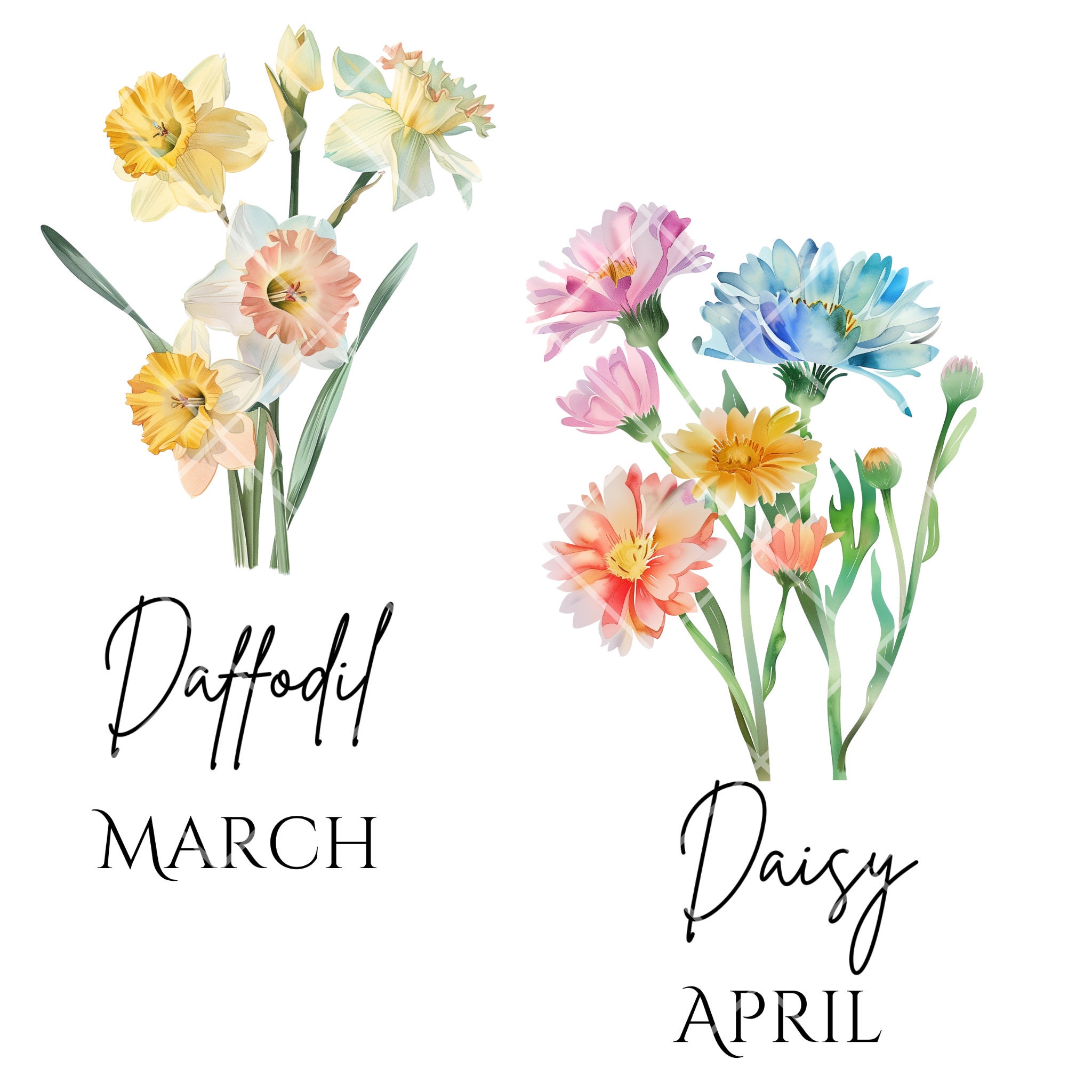 Birth Month Flowers Bundle, Birth Month PNG, Wildflower Png, Birthday ...