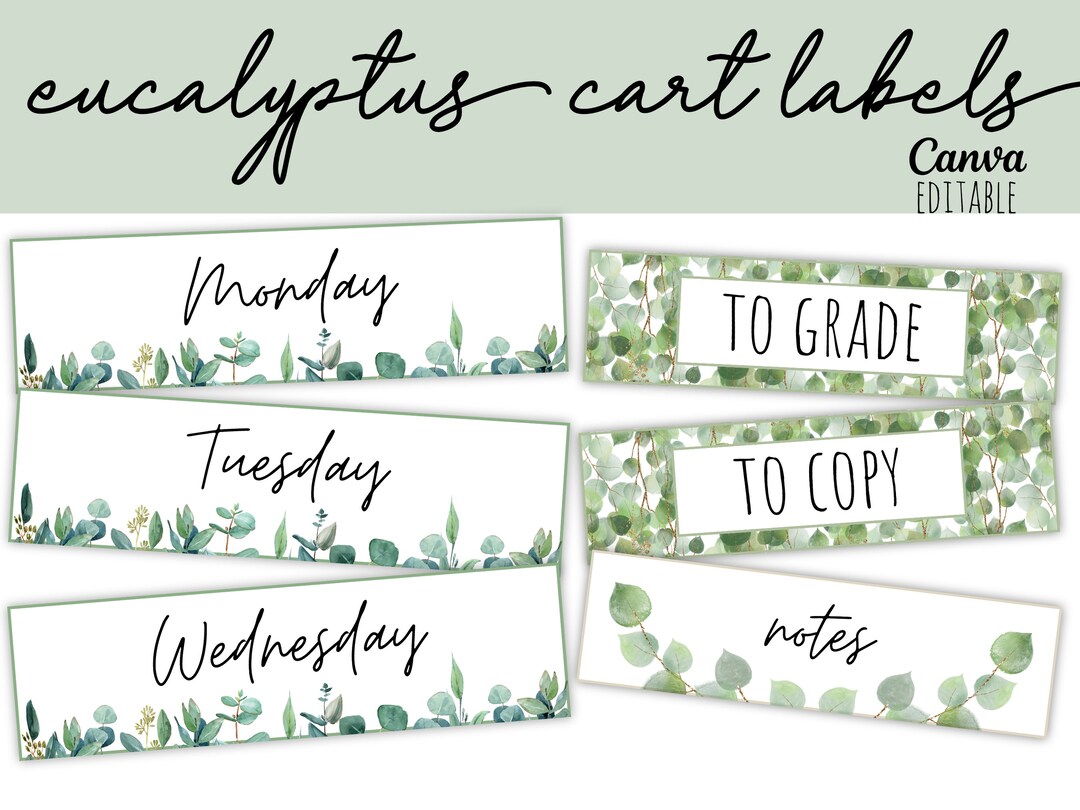 Teacher Rolling Cart Labels Editable Eucalyptus | Printable | 10 Drawer ...