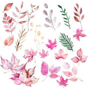 Cute Pink Autumn Clipart, Watercolor PNG, Instant Download, Fall ...